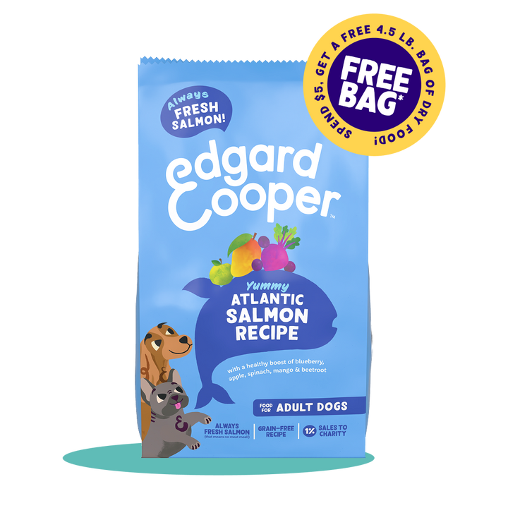 Food & Treats for Dogs | Edgard & Cooper